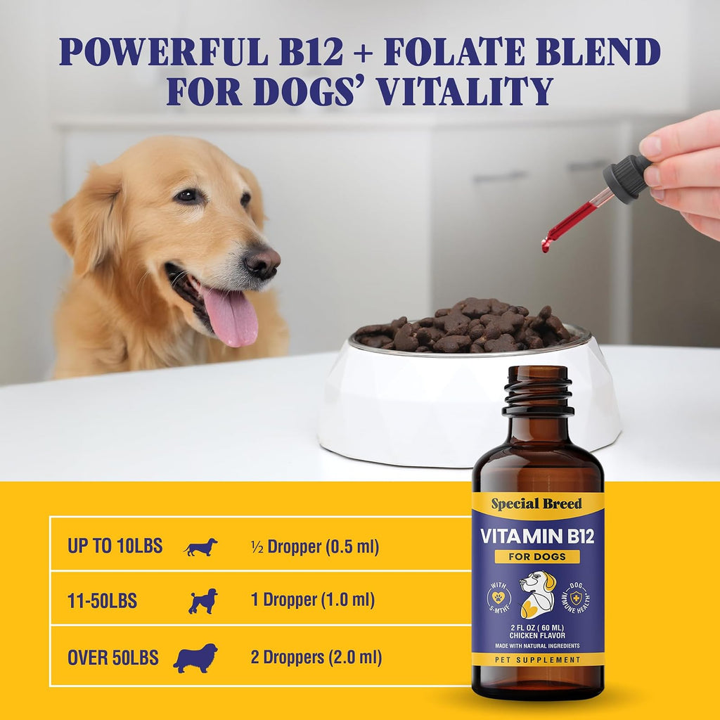 liquid vitamin B12 for healthy pets