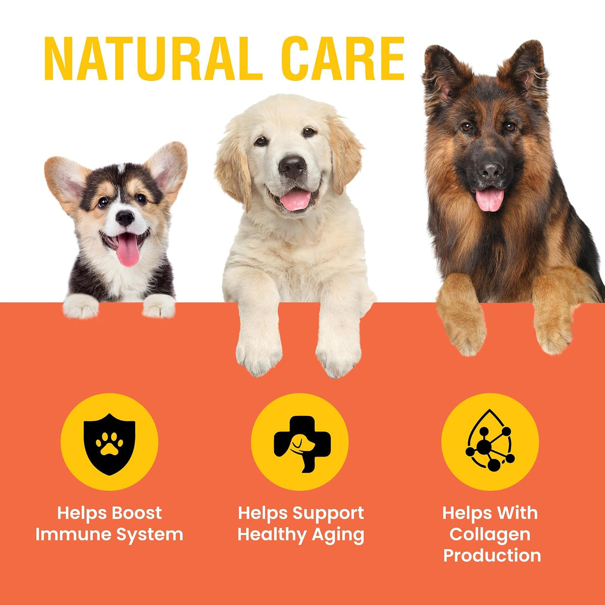 liquid vitamin C supplement for pets