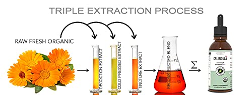liquid vitamins for better absorption