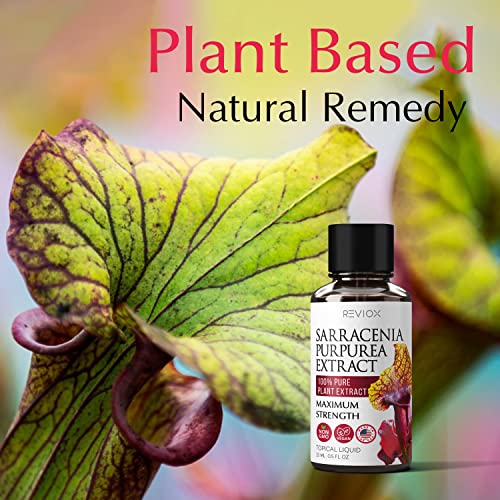 liquid vitamins for better absorption