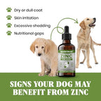 Liquid zinc for dog immune support