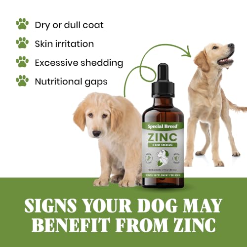 Liquid zinc for dog immune support