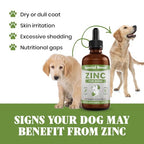 Liquid zinc supplement for pets