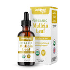 LIQUIDHEALTH Mullein Leaf Extract benefits