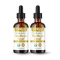 LIQUIDHEALTH Mullein Leaf Extract benefits