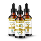 LIQUIDHEALTH Mullein Leaf Extract benefits