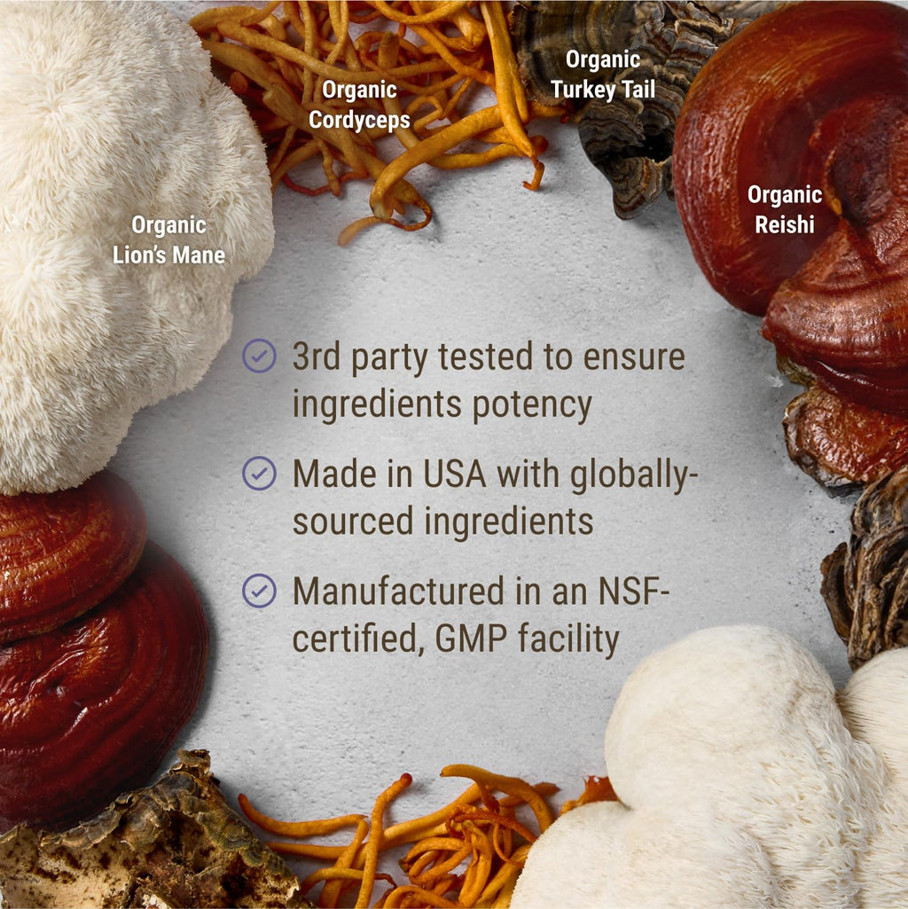 live conscious lion's mane extract