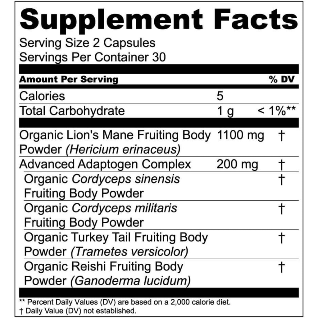 live conscious lion's mane supplement