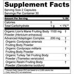 live conscious lion's mane supplement