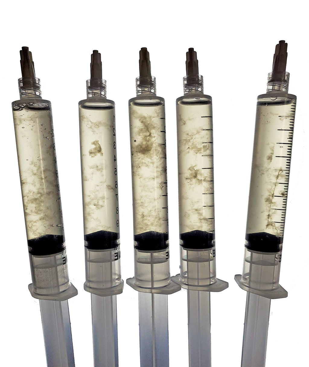 live mycelium mushroom cultures pack