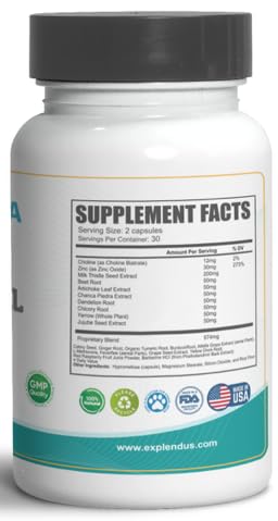 liver cleanse with milk thistle extract