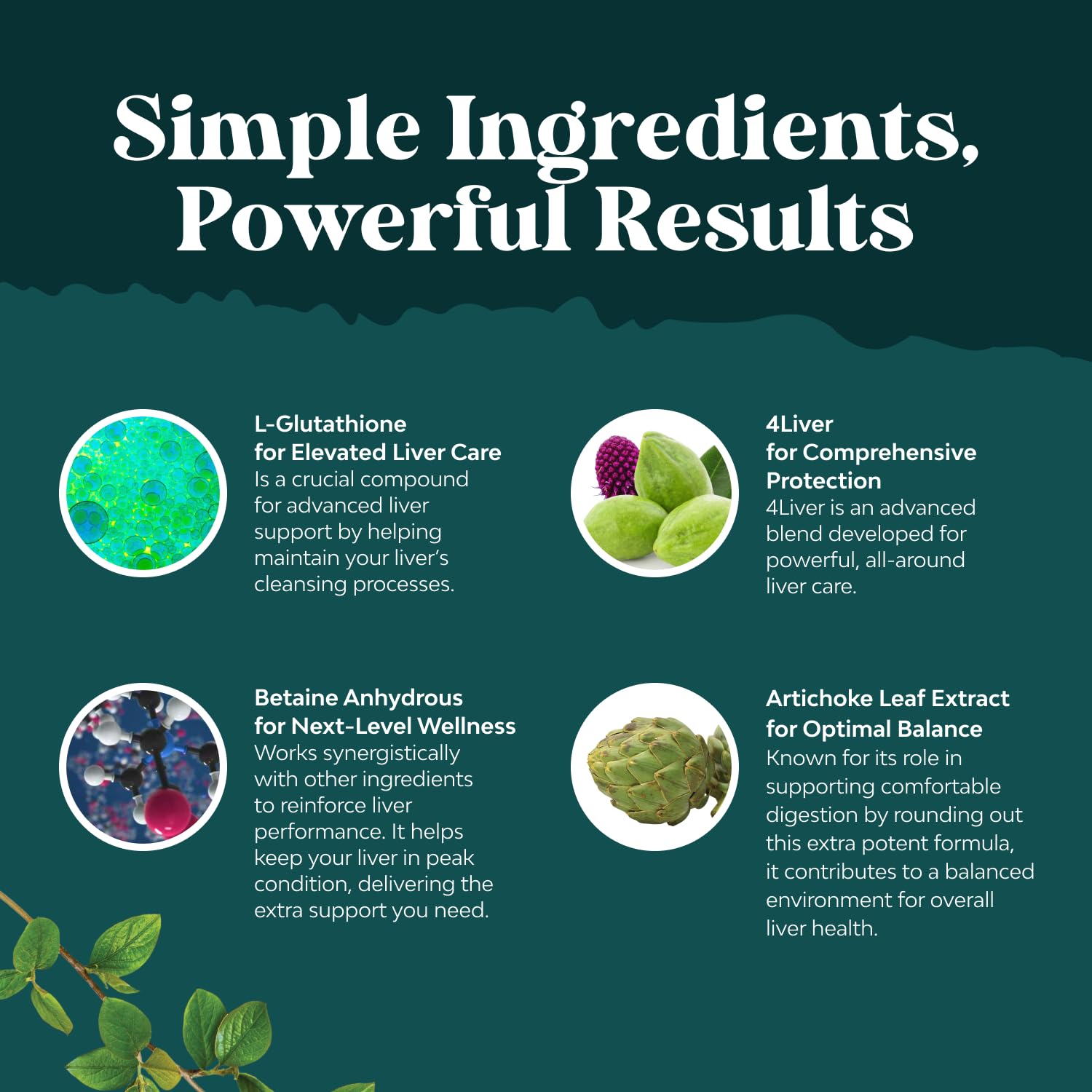 liver function support supplement