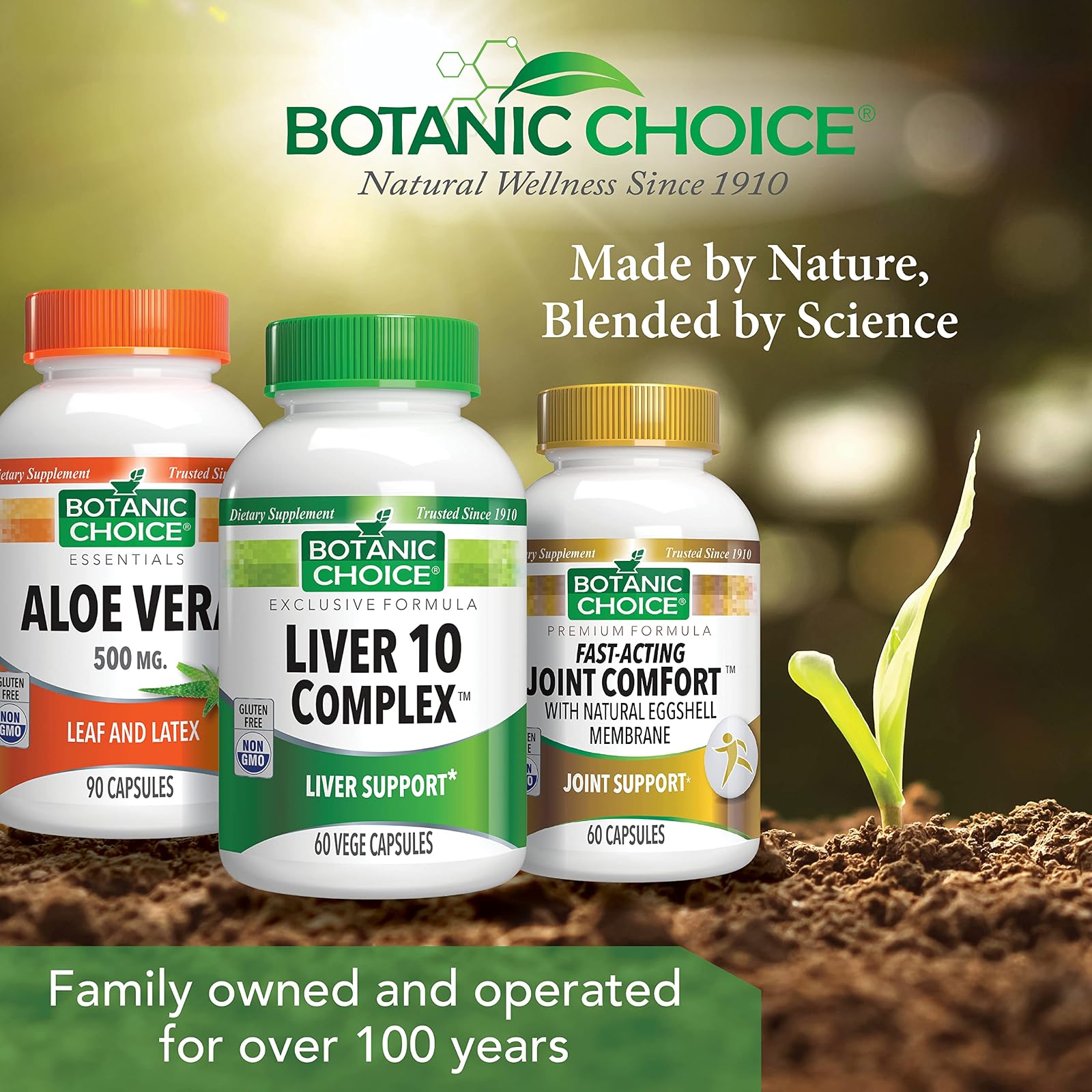 Liver function support with Milk Thistle