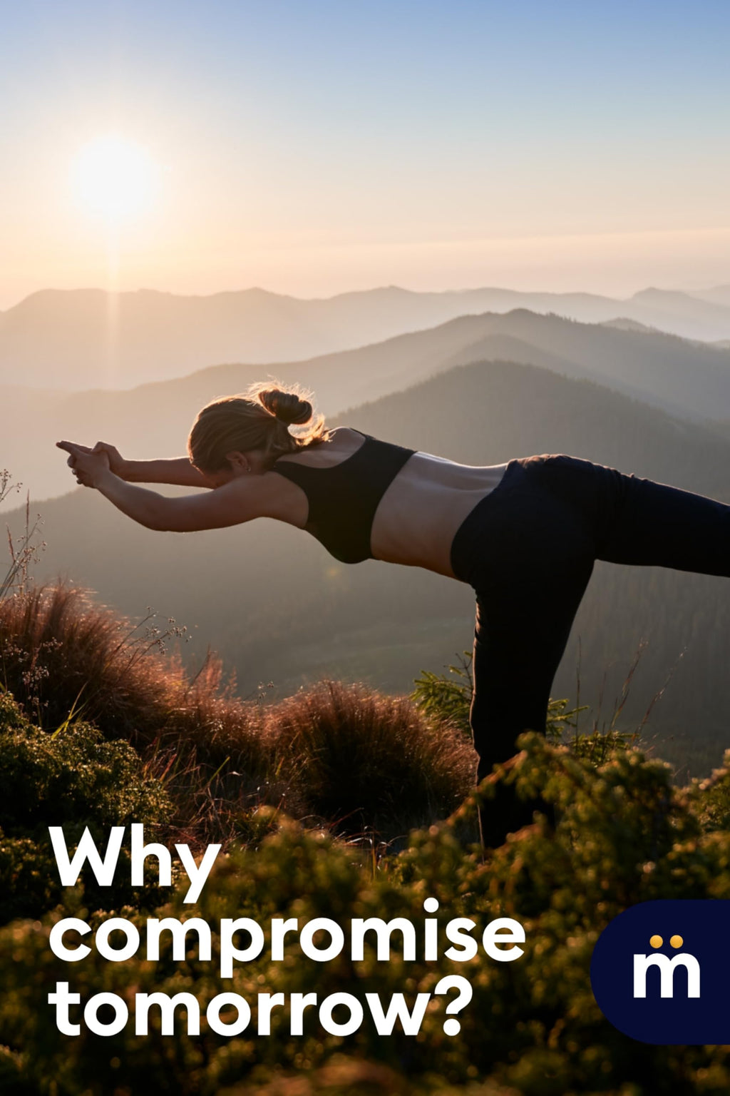liver health and energy support