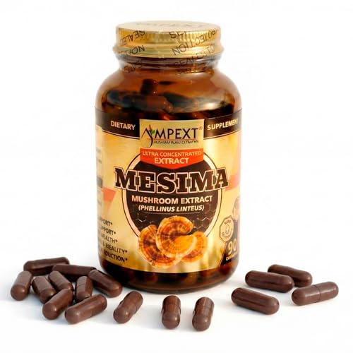 liver health Phellinus linteus formula