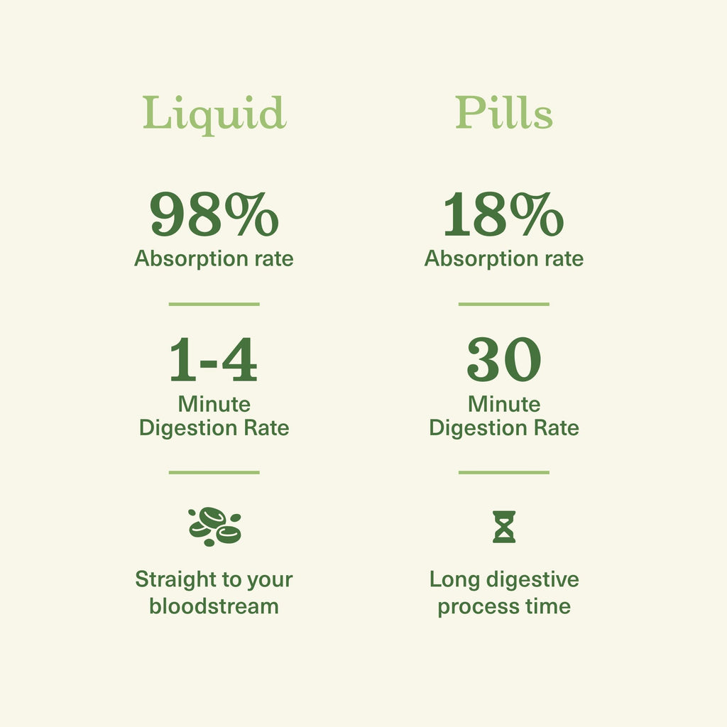 liver health support with Chanca Piedra