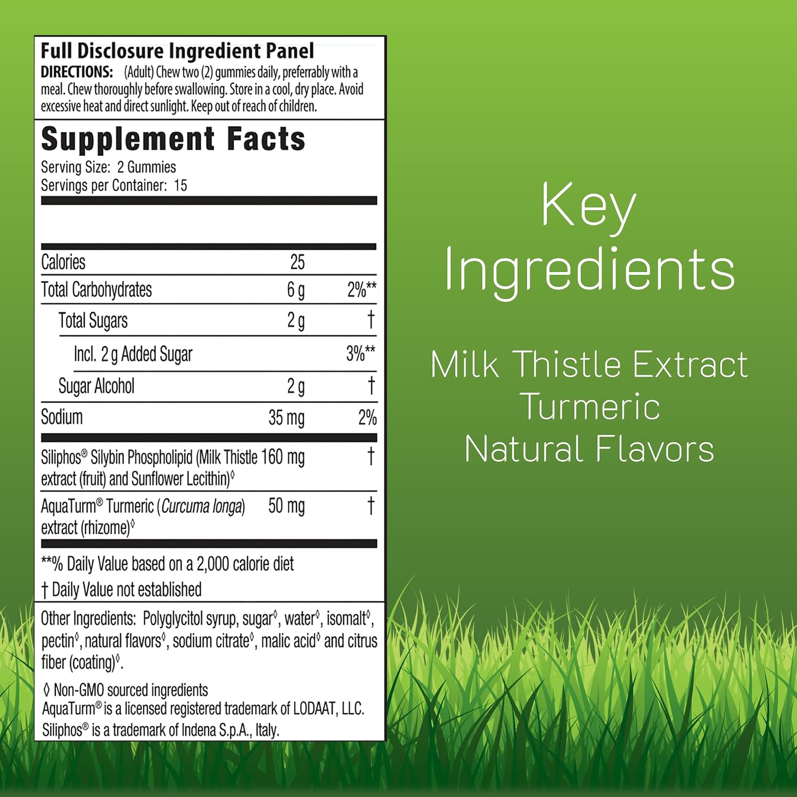 liver support milk thistle gummies