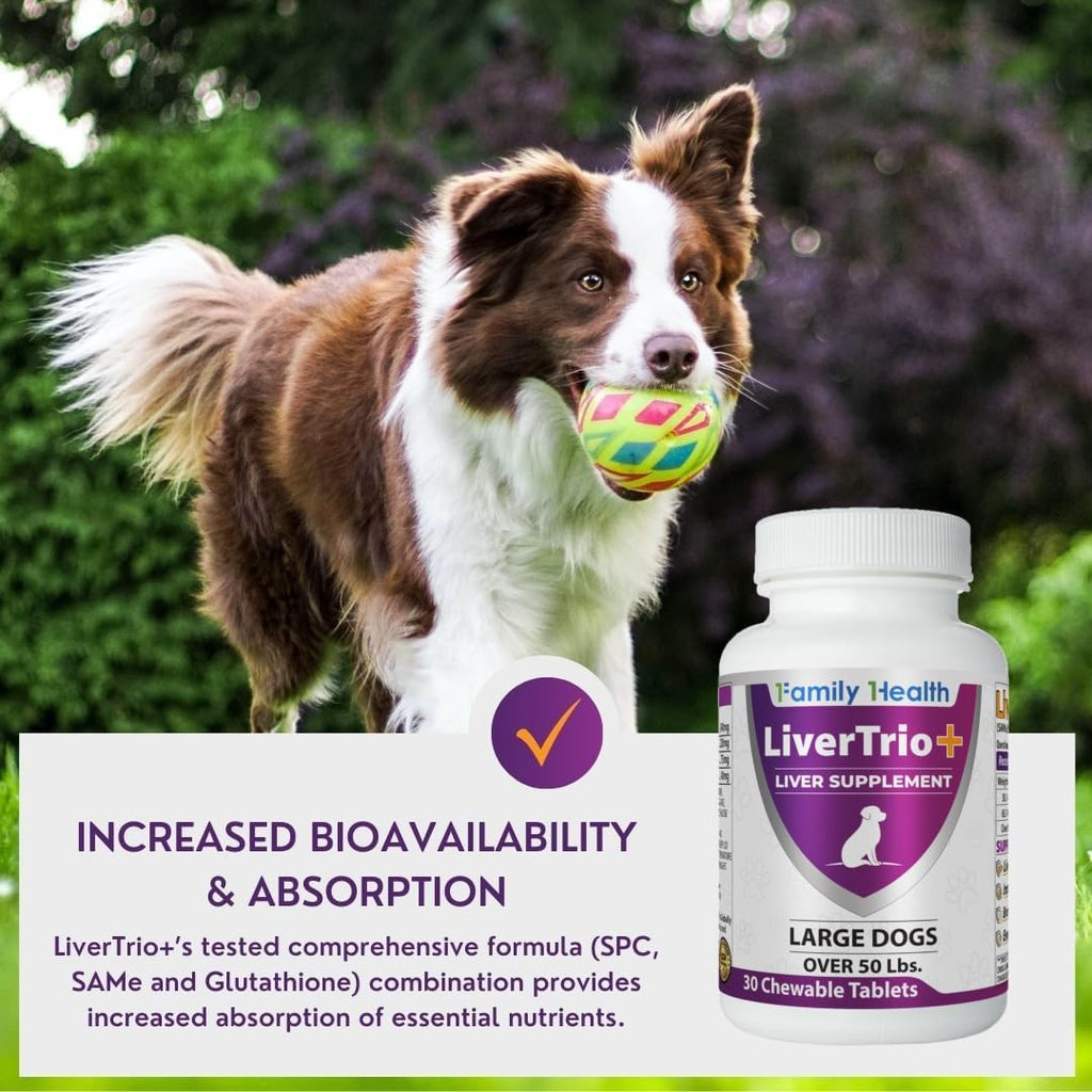 Liver support tablets for large dogs
