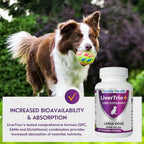 Liver support tablets for large dogs