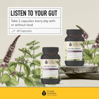 Living Alchemy capsules for digestive comfort
