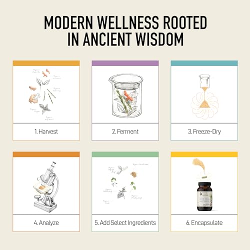 Living Alchemy probiotic for better digestion
