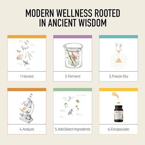 Living Alchemy Terrain probiotics for enhanced wellness