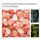 Livingood Daily electrolyte tablets for daily wellness