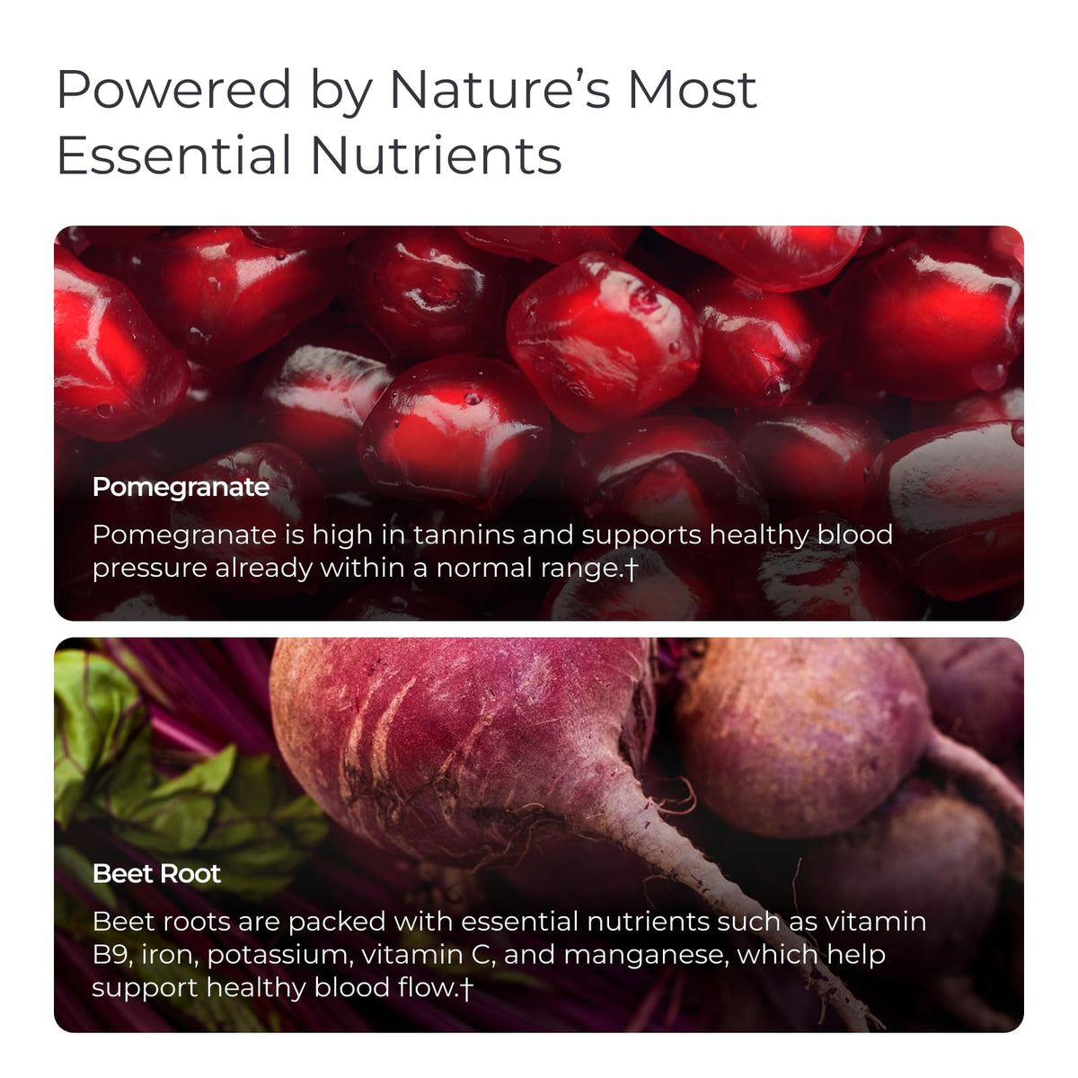 Livingood Daily wellness supplement