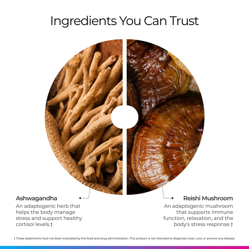 Livingood stress support supplement