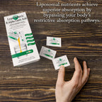 LivOn Laboratories alpha lipoic acid packets