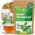 Llanten herbal tea for digestion