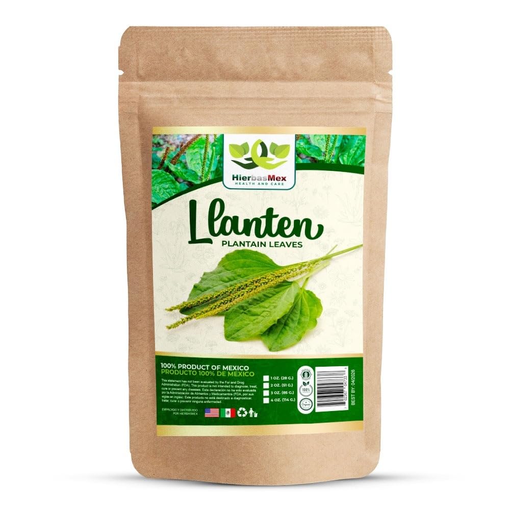 Llanten herbal tea for digestion