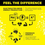 LMNT electrolyte replacements for workouts