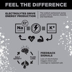 LMNT electrolytes for active lifestyle