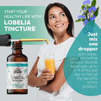 Lobelia tincture for herbal remedies