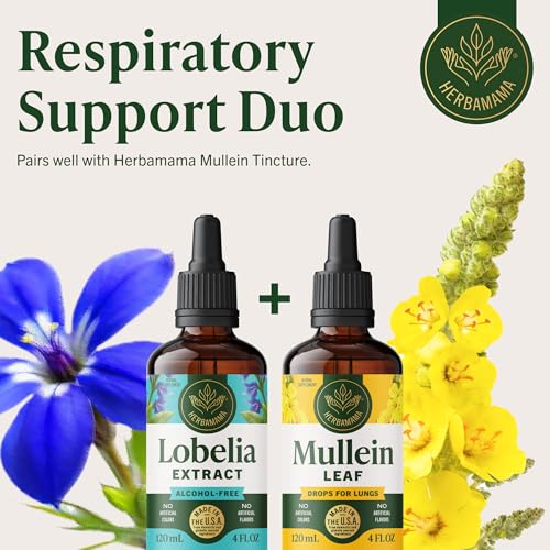 Lobelia tincture for natural lung support