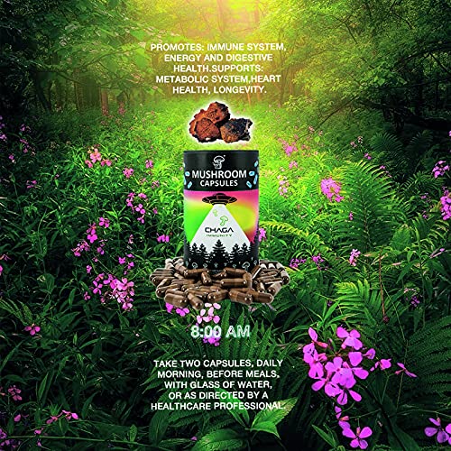 locally sourced chaga mushroom extract