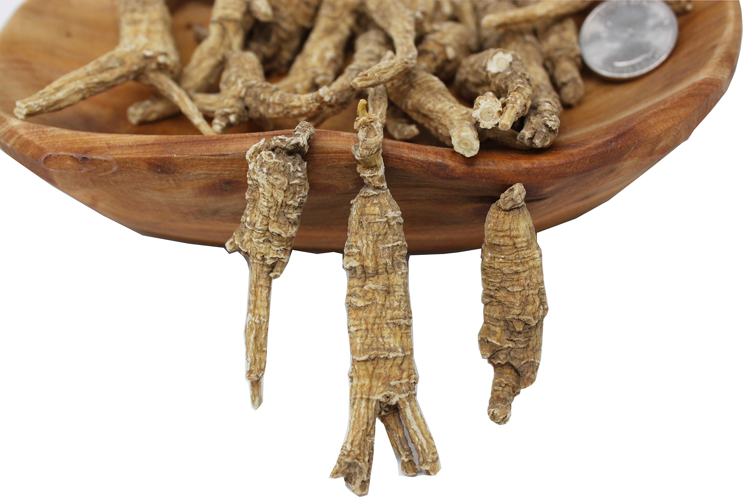 long cultivated panax ginseng