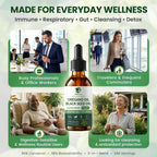 long-lasting oregano oil supply
