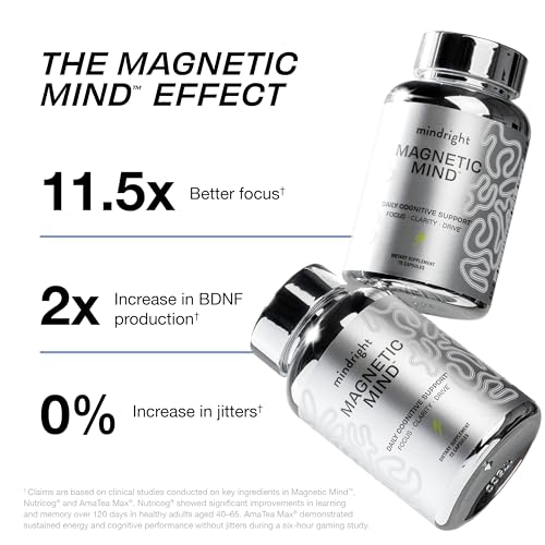 long-term brain health support supplements