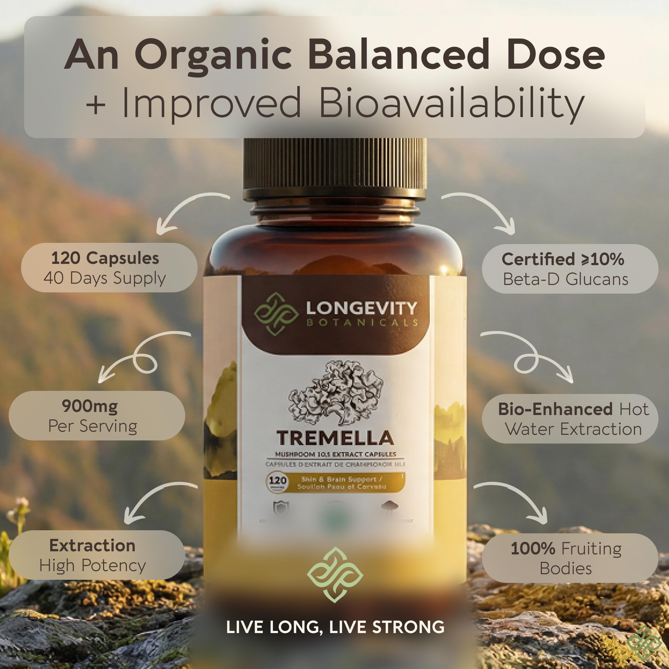 Longevity Botanicals mushroom health boost