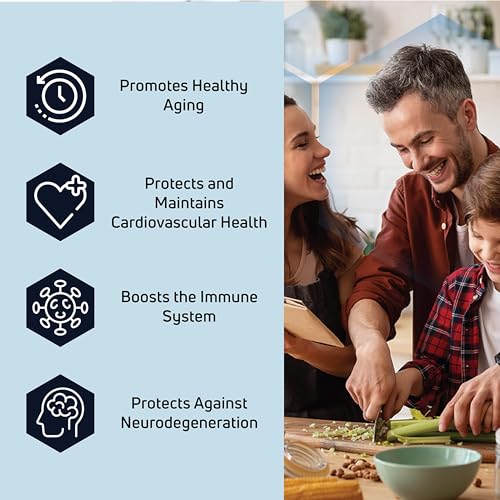 LONGEVITY LABS spermidineLIFE Memory+ 1300mg Supplement, 60 Vegan Capsules | Plant-Based Formula for Cognitive Wellness, Blended Vitamin & Mineral - 11