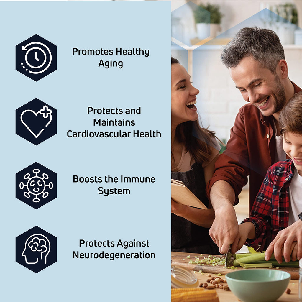 LONGEVITY LABS spermidineLIFE Memory+ 1300mg Supplement, 60 Vegan Capsules | Plant-Based Formula for Cognitive Wellness, Blended Vitamin & Mineral - 12