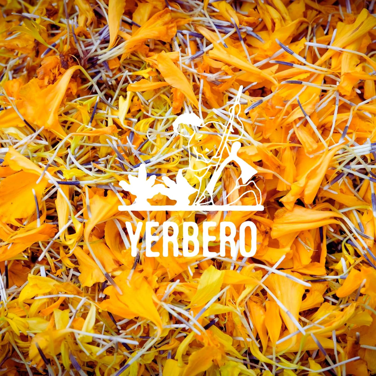 loose calendula tea for relaxation