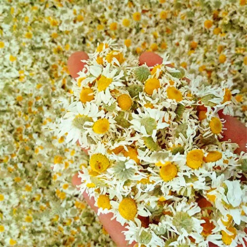 loose leaf chamomile for herbal infusions