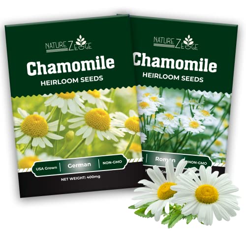 loose leaf chamomile tea variety