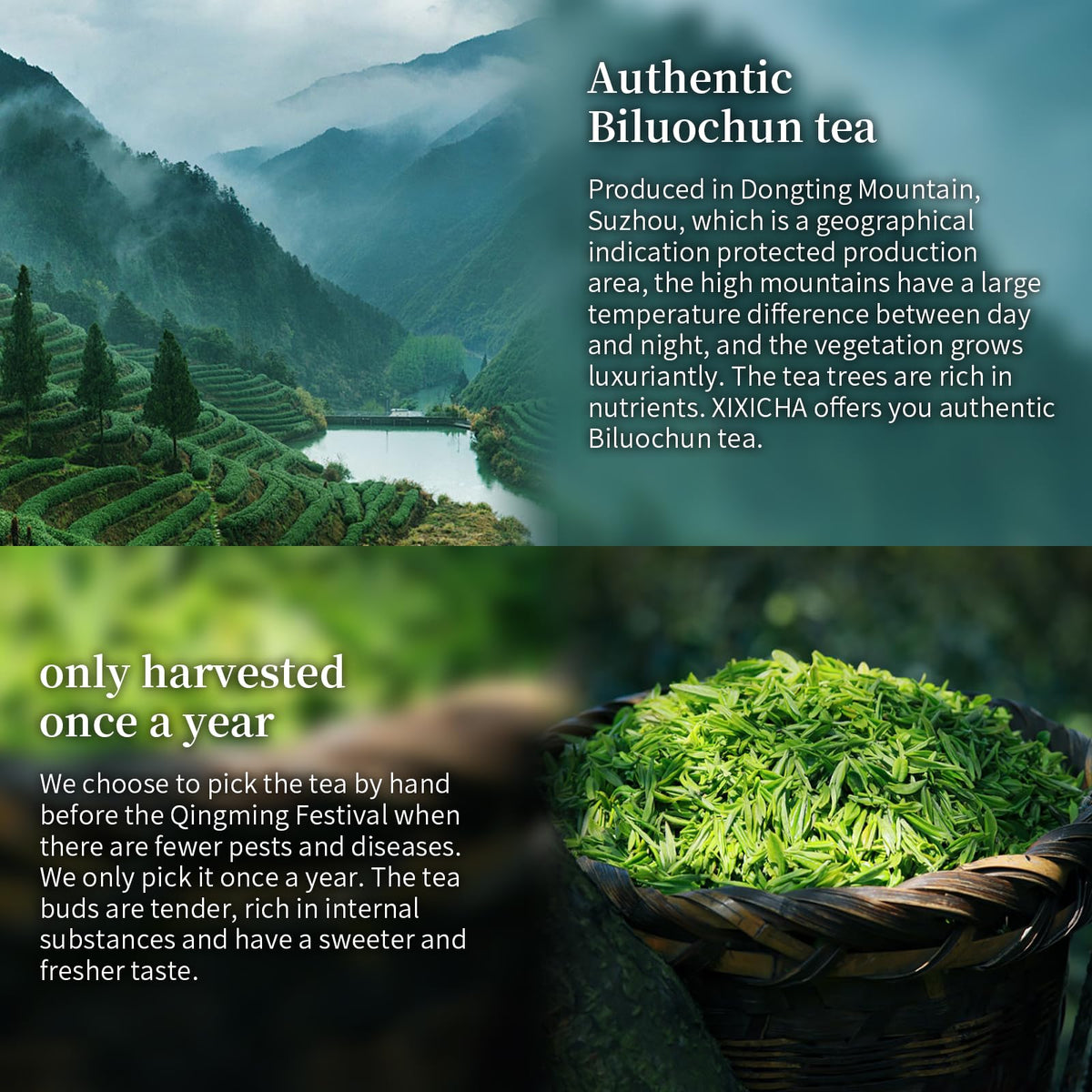 loose leaf green tea for wellness