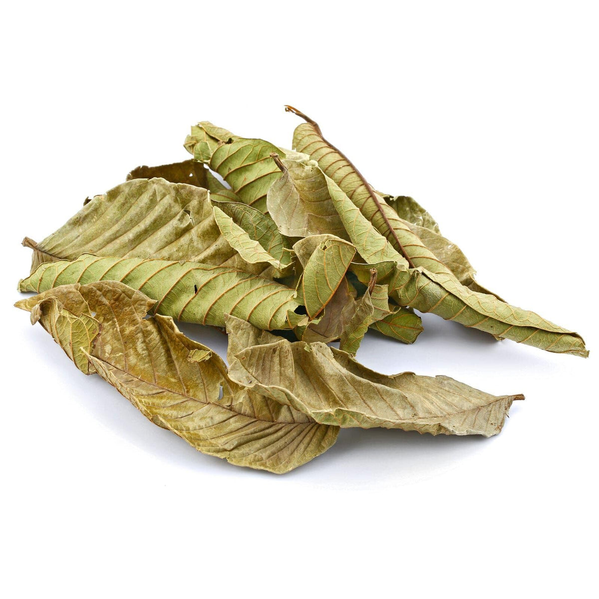 loose leaf guava tea benefits