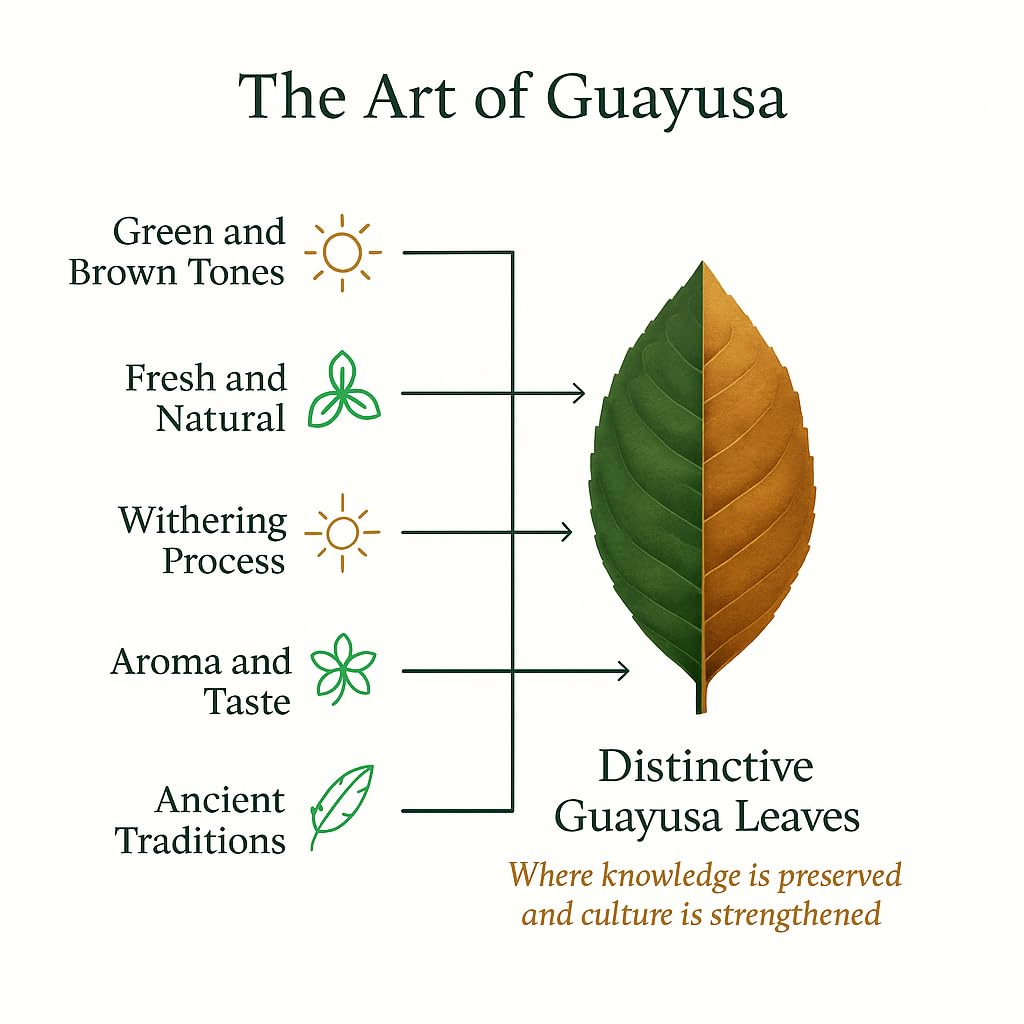 loose leaf guayusa for detox