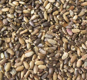 loose leaf herbal tea blend